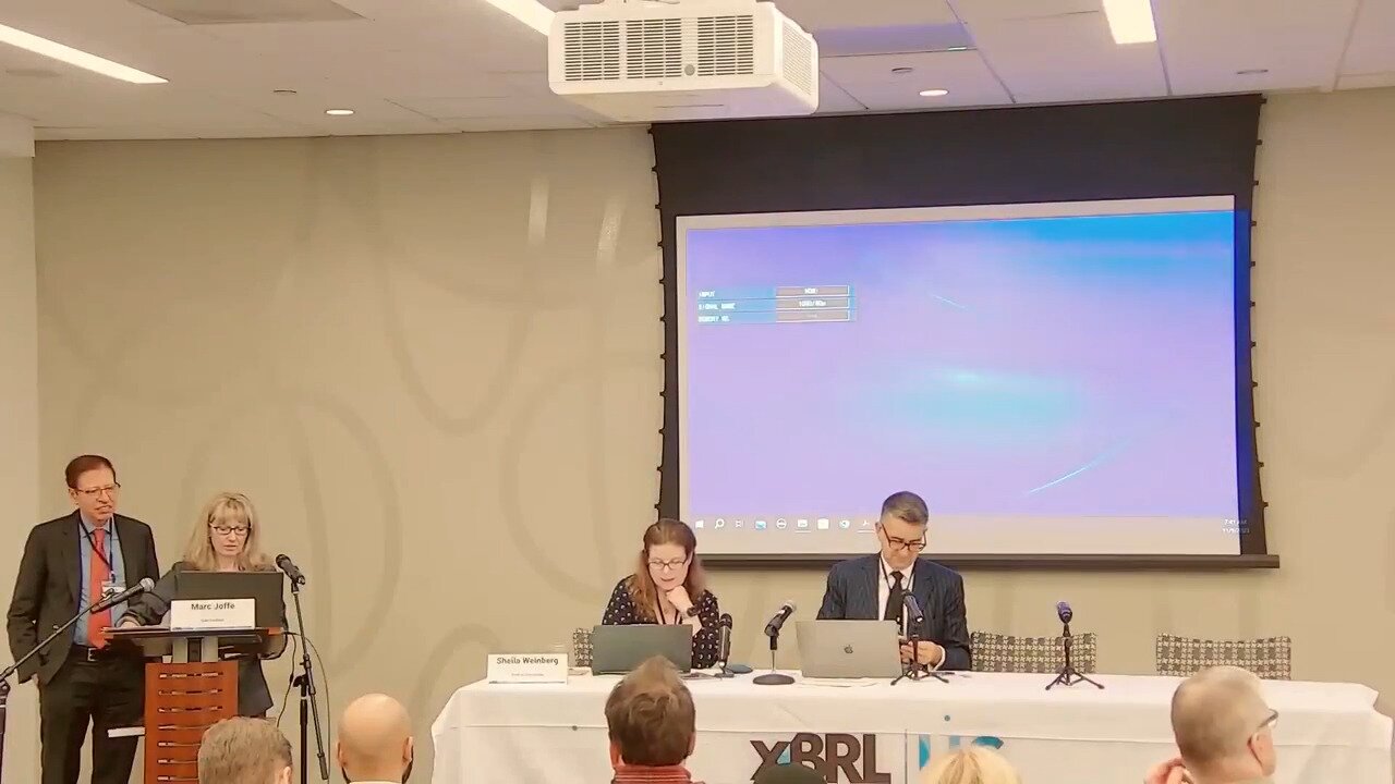 Marc Joffe participates in the event, "Why Data Standards for ...