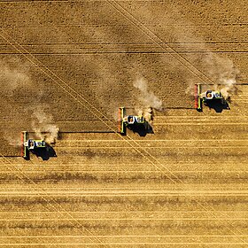 Superabundance | Cato Institute